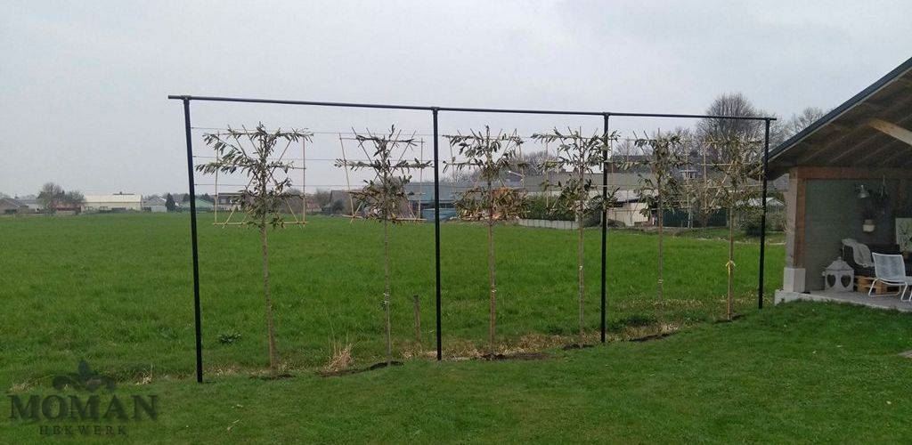 Ondersteuning leibomen